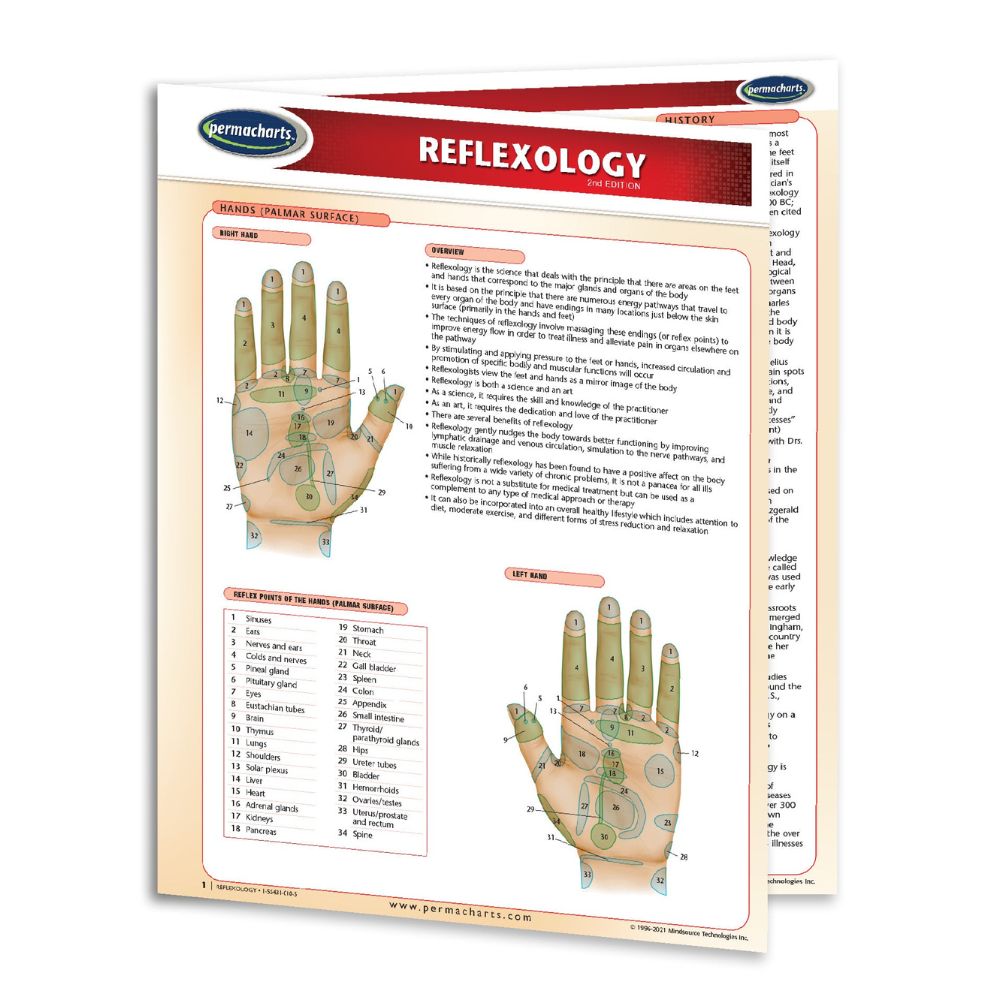 Reflexology Guide & Maps (Digital Edition) – ToneTherapy