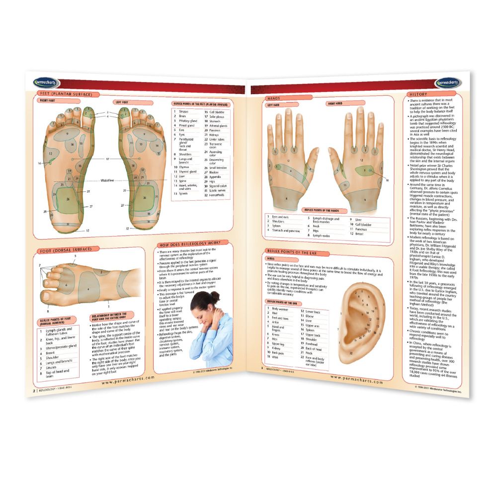 Reflexology Guide & Maps (Digital Edition) – ToneTherapy